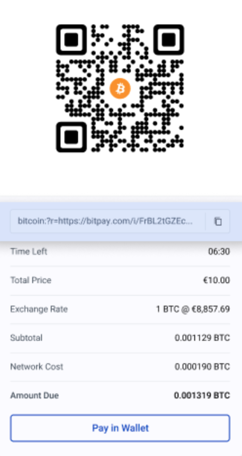 How do I pay a BitPay invoice? – BitPay Support