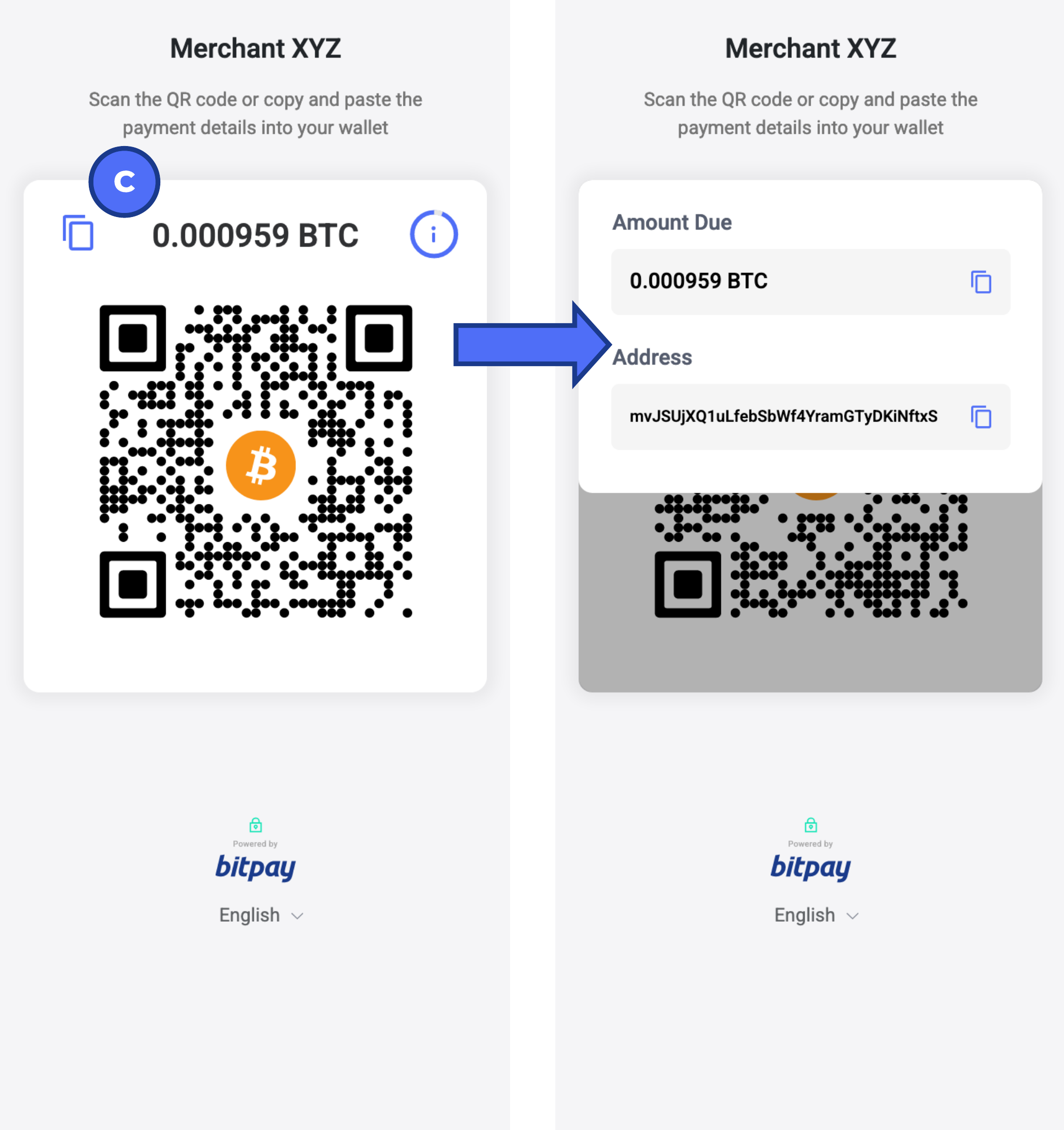 How do I pay a BitPay invoice? – BitPay Support